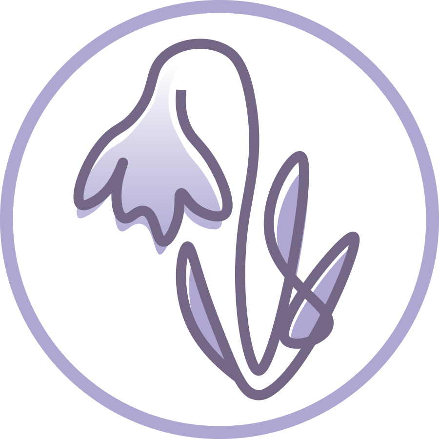 Natural and Pure Skincare Products for Daily Use – Ellbe Skincare